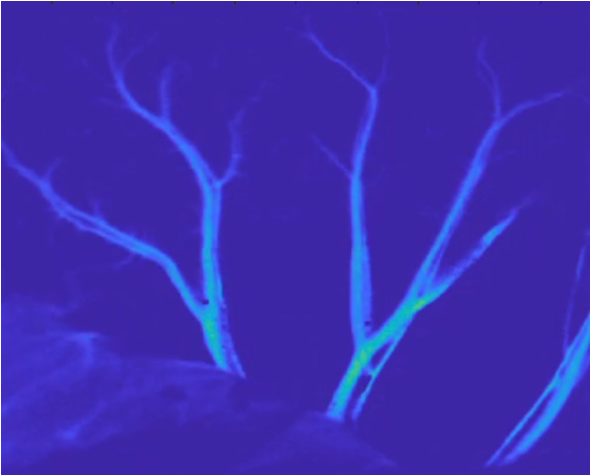 Research — The Harraz Lab