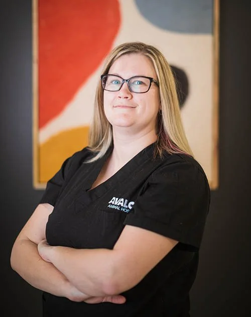 About Us — Avalon Animal Hospital