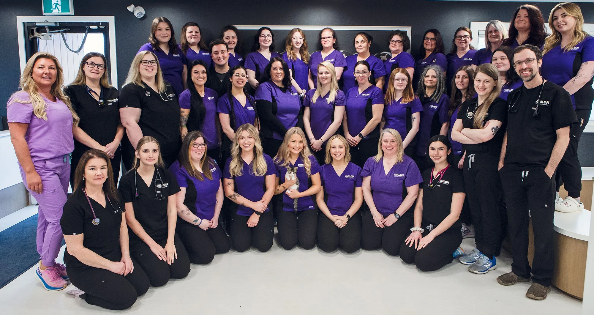 Avalon Animal Hospital - St. John's Veterinary Clinic