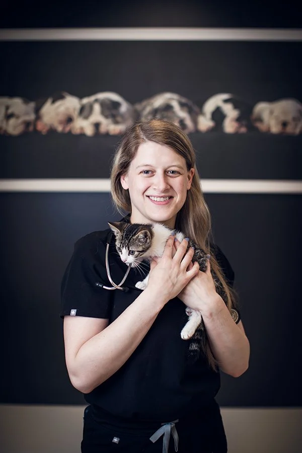 About Us — Avalon Animal Hospital