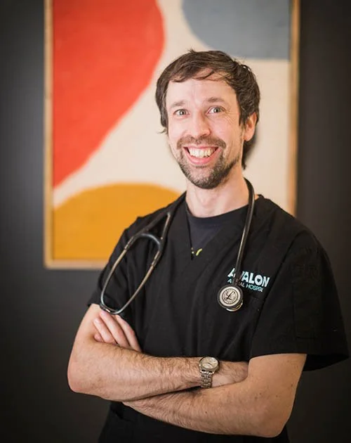 About Us — Avalon Animal Hospital