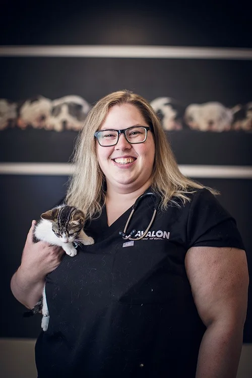About Us — Avalon Animal Hospital