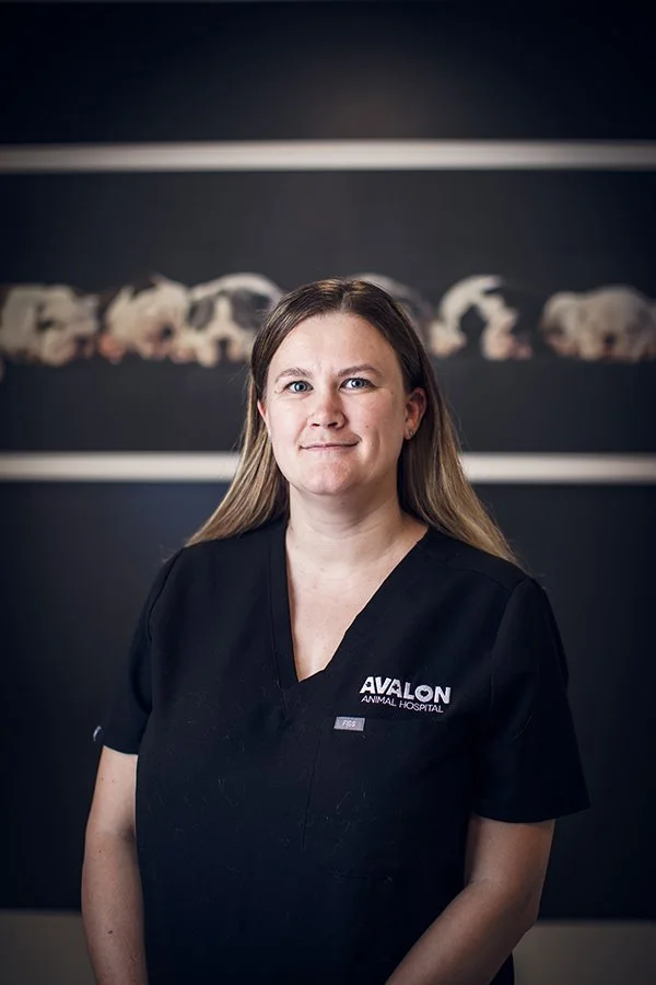 About Us — Avalon Animal Hospital
