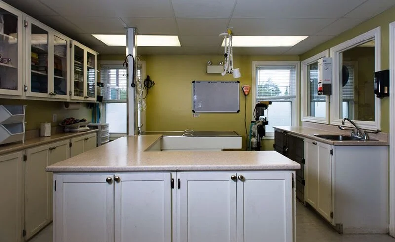 Avalon Animal Hospital