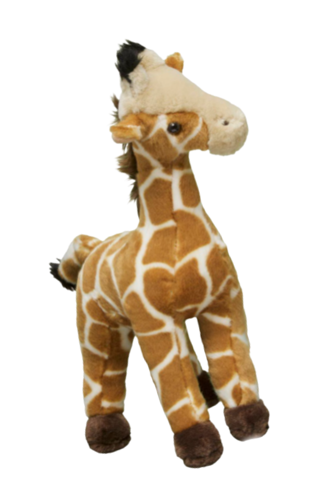 Iron Giraffe Challenge | Get Involved Today! — Water for South Sudan