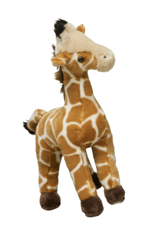 Iron Giraffe Challenge | Get Involved Today! — Water for South Sudan