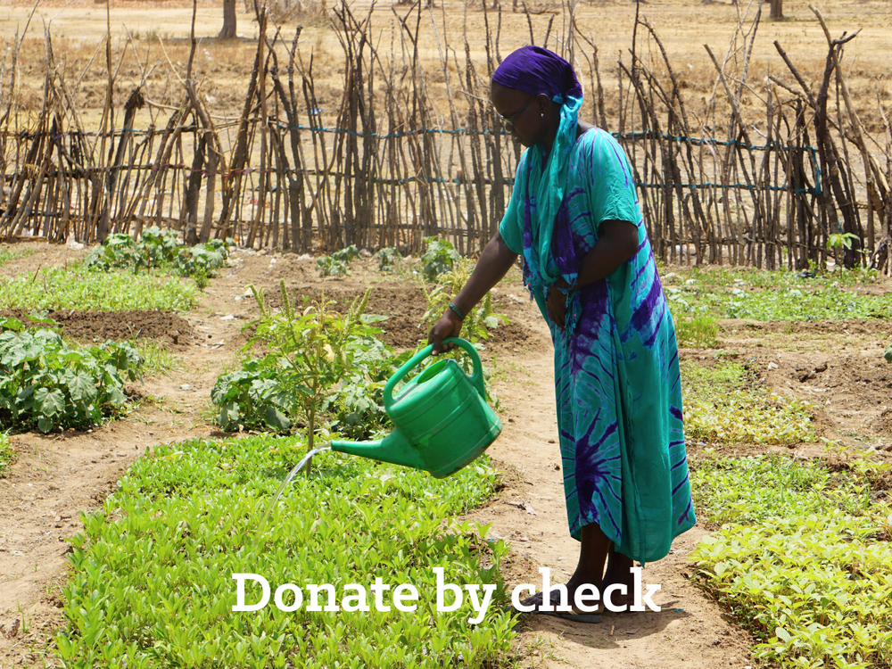 Donate | Join Us to Save Lives — Donate Now — Water for South Sudan