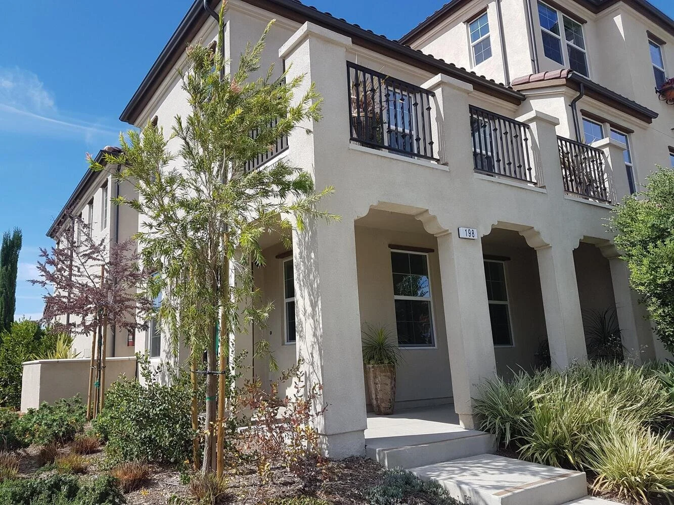 Ziggy Rees Real Estate