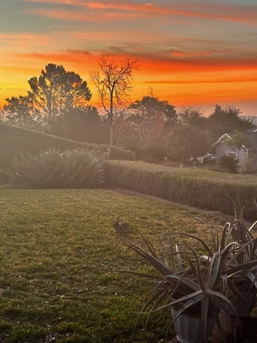 The Muleskinner Journal