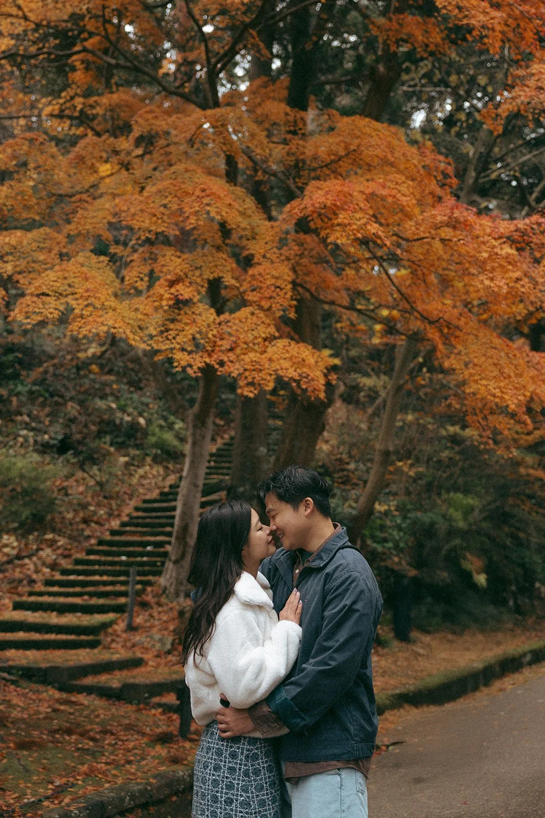 Working with Nature’s Timeline: How We Timed a Proposal with Japan’s ...