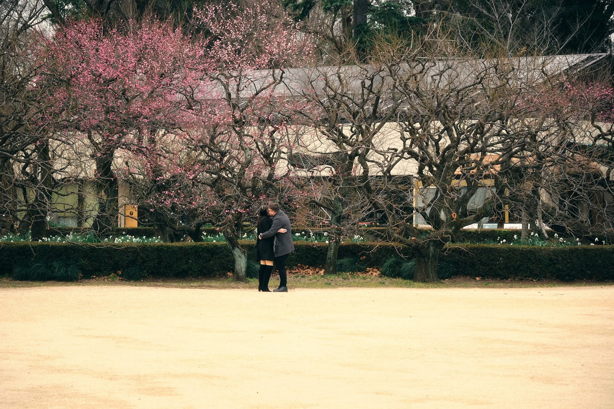 Tokyo's Top 5 Proposal Spots: Make sure she says YES! — Thierry Gibralta