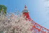 5 Romantic Tokyo Tower spots for Couple Photography in Tokyo — Thierry ...