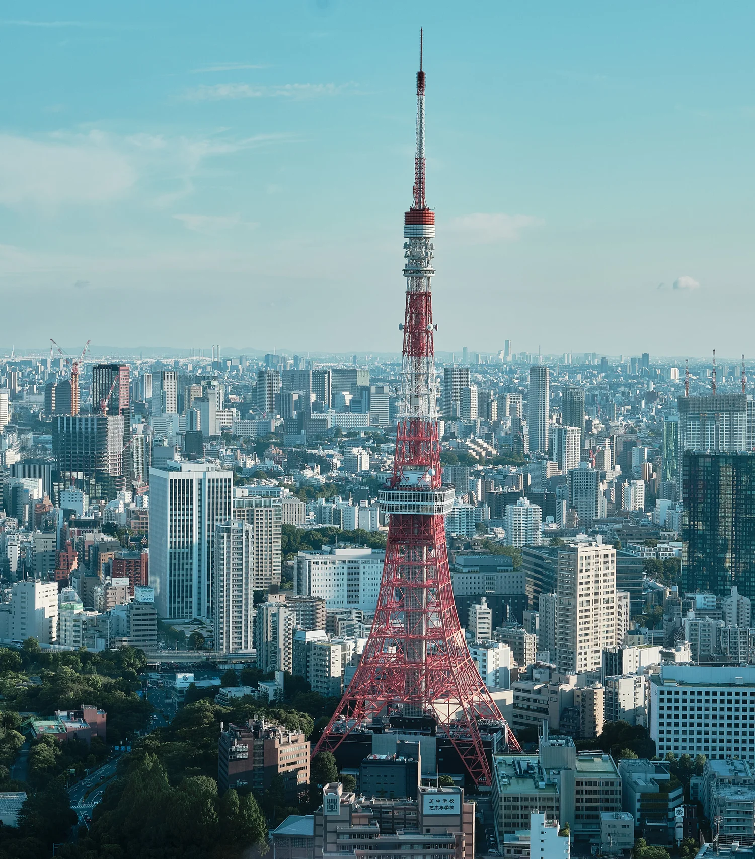 Tokyo's Top 5 Proposal Spots: Make sure she says YES! — Thierry Gibralta
