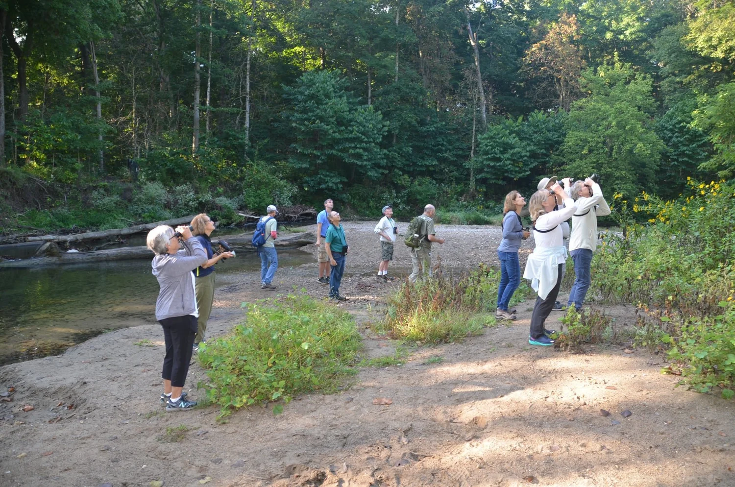 Marott Woods Nature Preserve