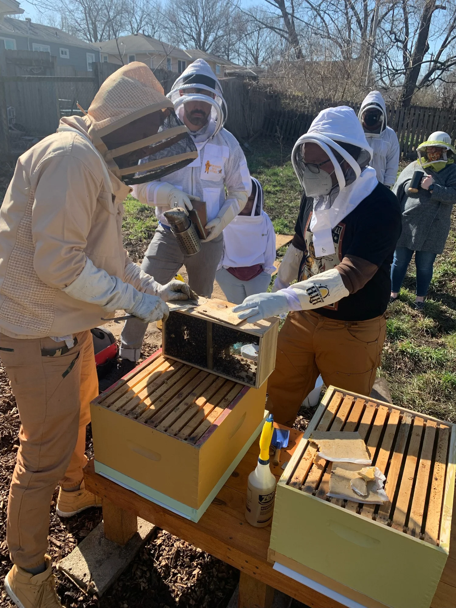 Beekeeping — BEE KC