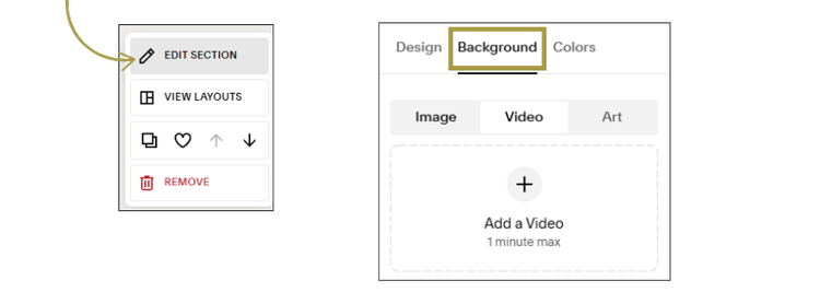 How to Add Animations to Your Squarespace Website (No Code Needed ...