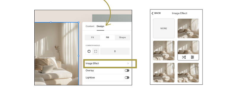 How to Add Animations to Your Squarespace Website (No Code Needed!) — Studio Bressi | Branding ...