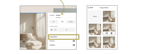 How to Add Animations to Your Squarespace Website (No Code Needed!) — Studio Bressi | Branding ...