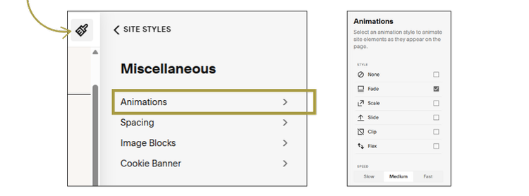 How to Add Animations to Your Squarespace Website (No Code Needed ...