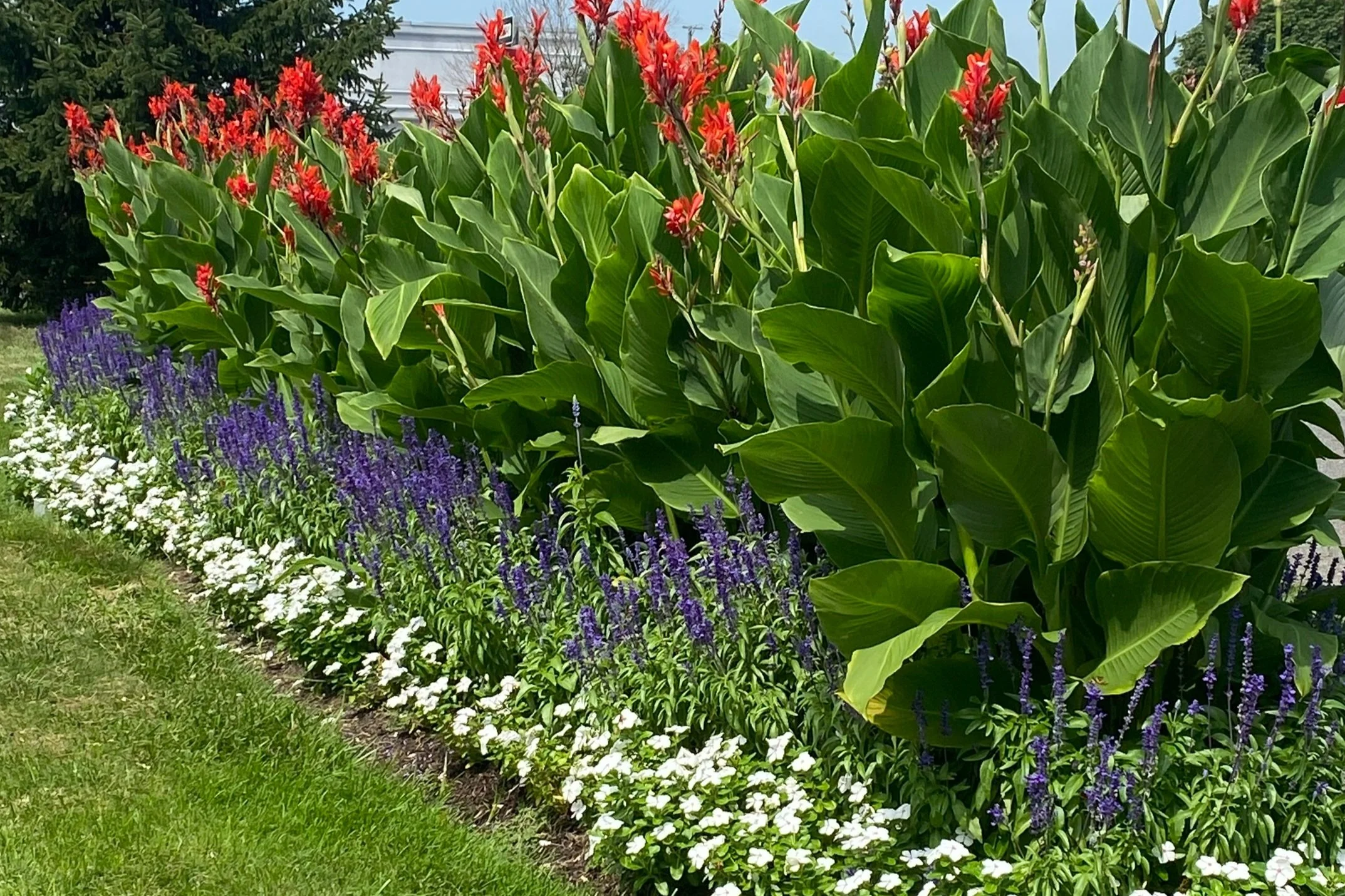 Ocean Grove Beautification Project — Ocean Grove Camp Meeting Association