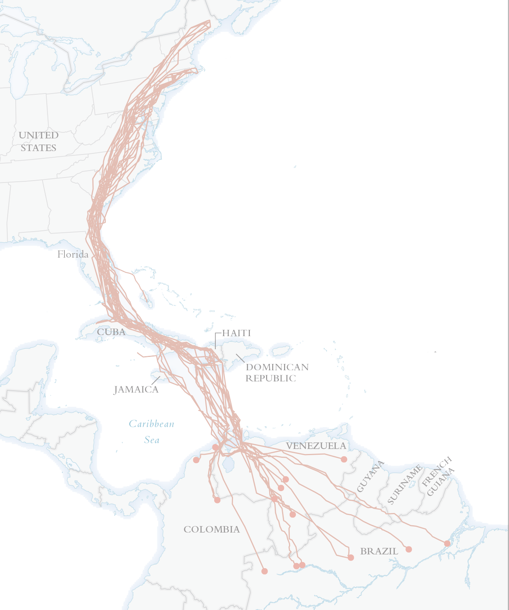 LEARN MORE — SEASON OF THE OSPREY