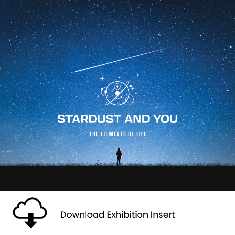 Stardust and You — FLYING FISH Exhibits