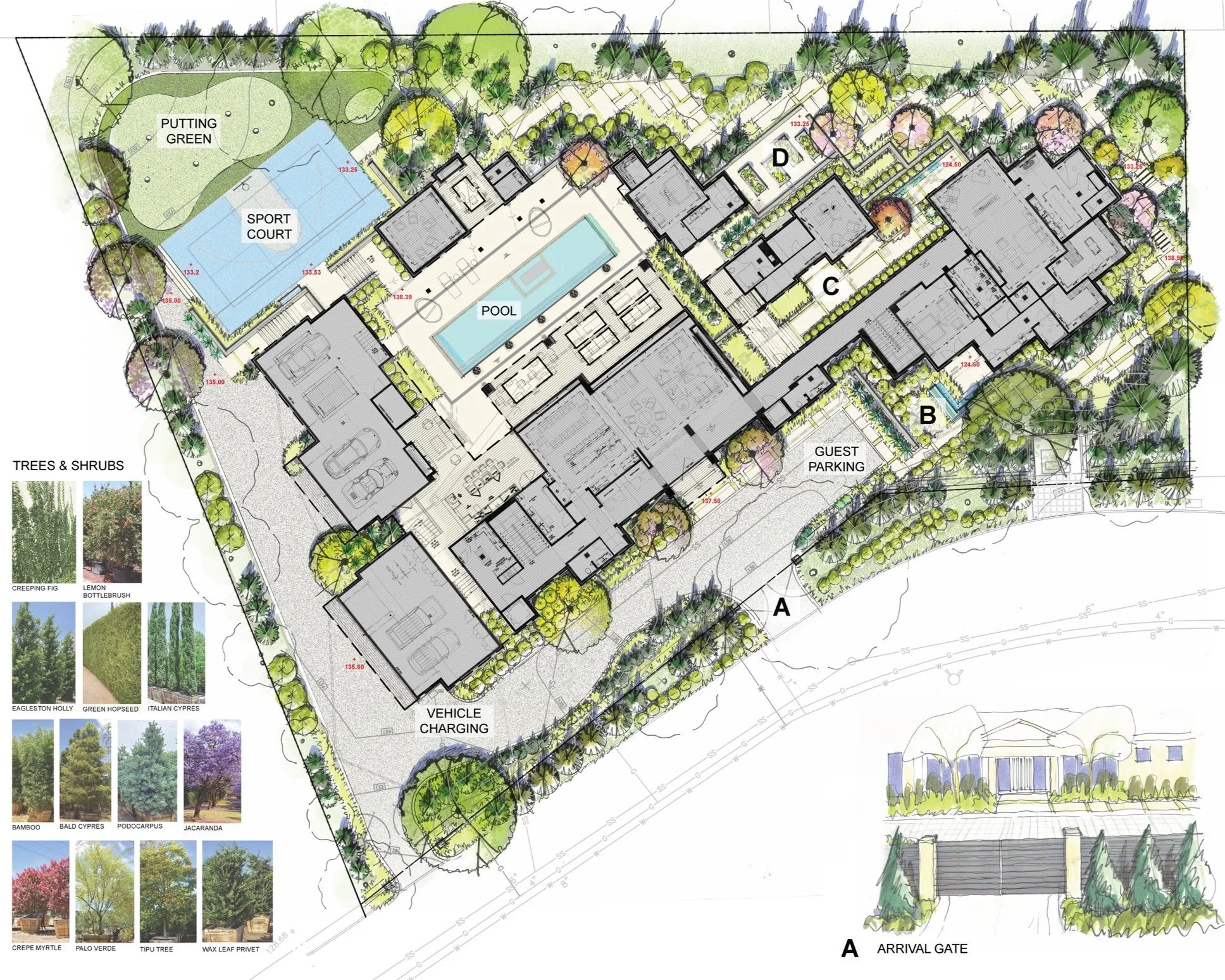 Tran Residence — PLACE LANDSCAPE ARCHITECTURE