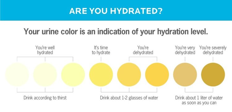 How much water should I drink? — Ryan Zaffino Training