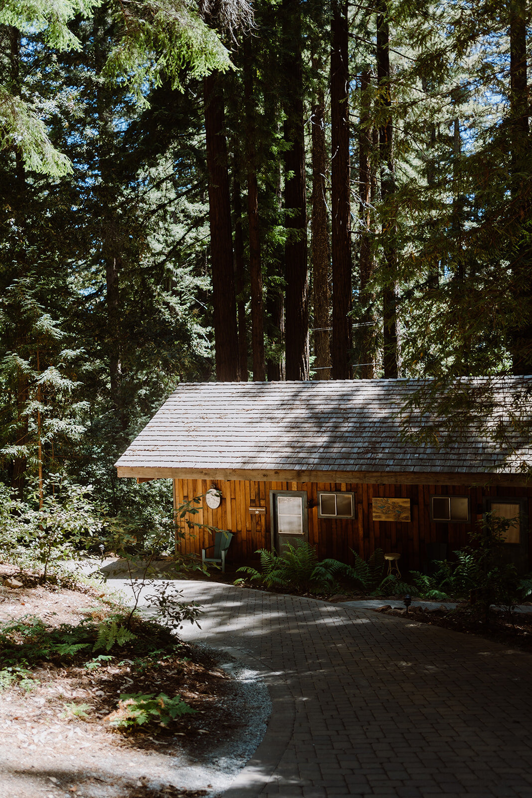 About • Waterfall Lodge & Retreat: Laid-back, luxury wedding & event ...