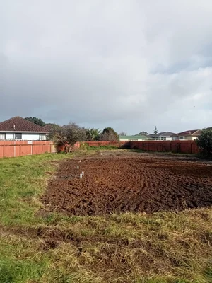 Site Clearance & Soil Remediation — Henderson Demolition