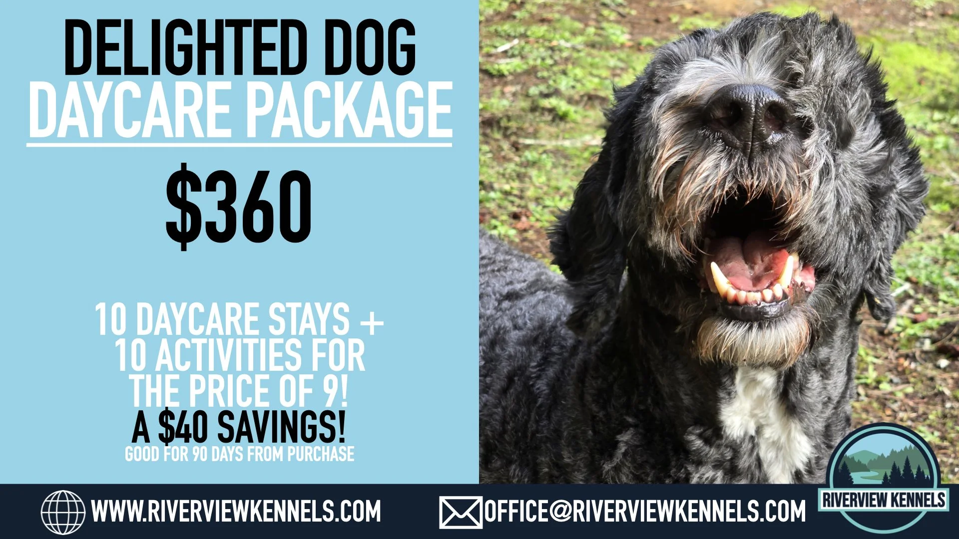 Save Time & Money with Daycare Packages at Riverview Kennels ...