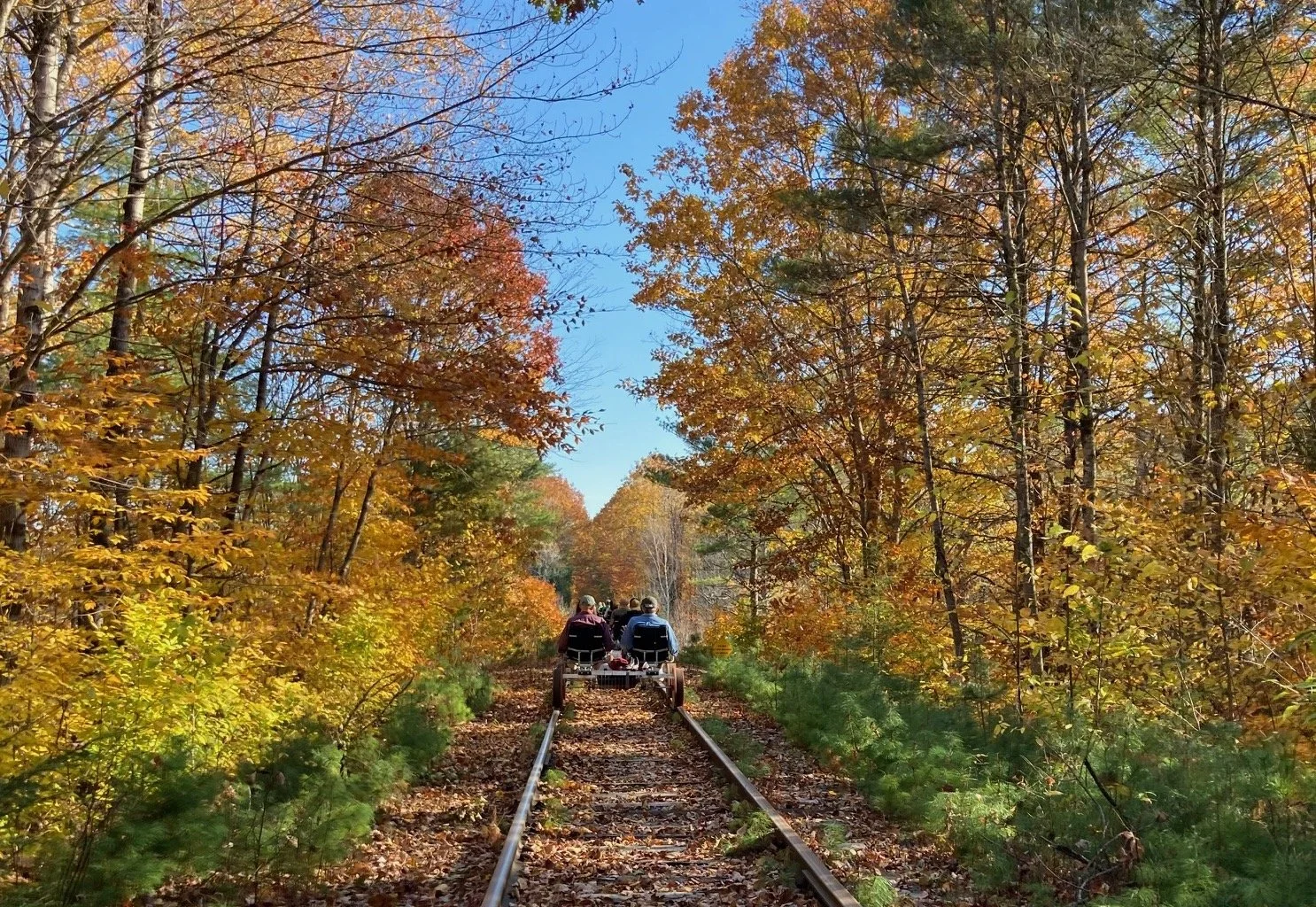 Pedaling Through History with Revolution Rail — STORIES FROM OPEN SPACE