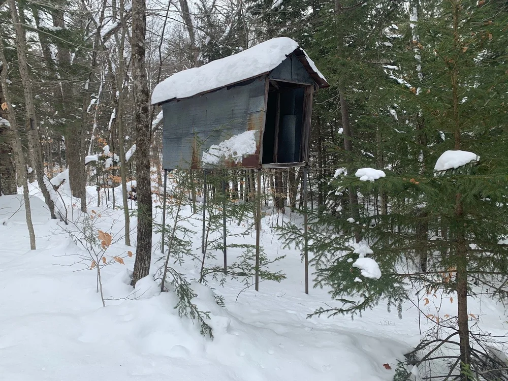 Exploring the ‘Sled Shed’ — STORIES FROM OPEN SPACE