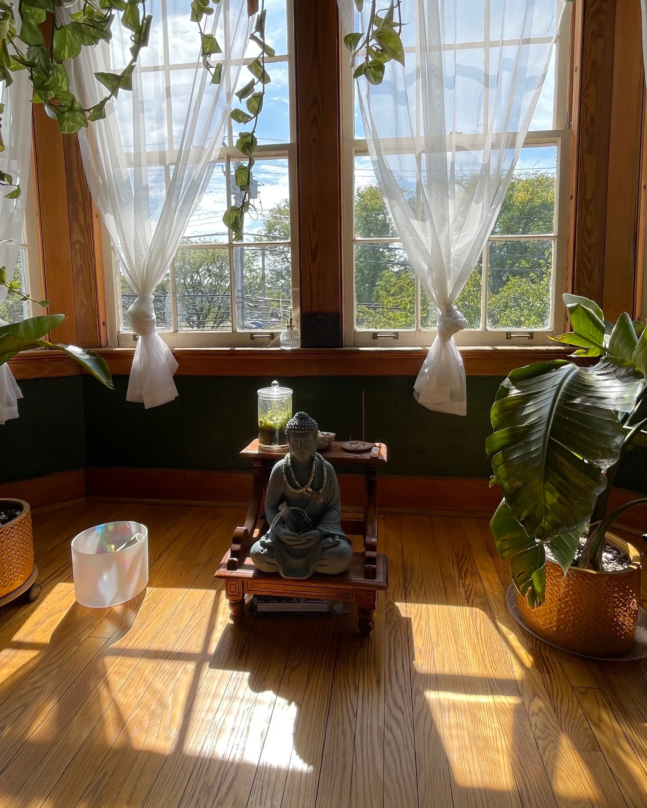 North Haven, CT Yoga Studio — Kaia Yoga