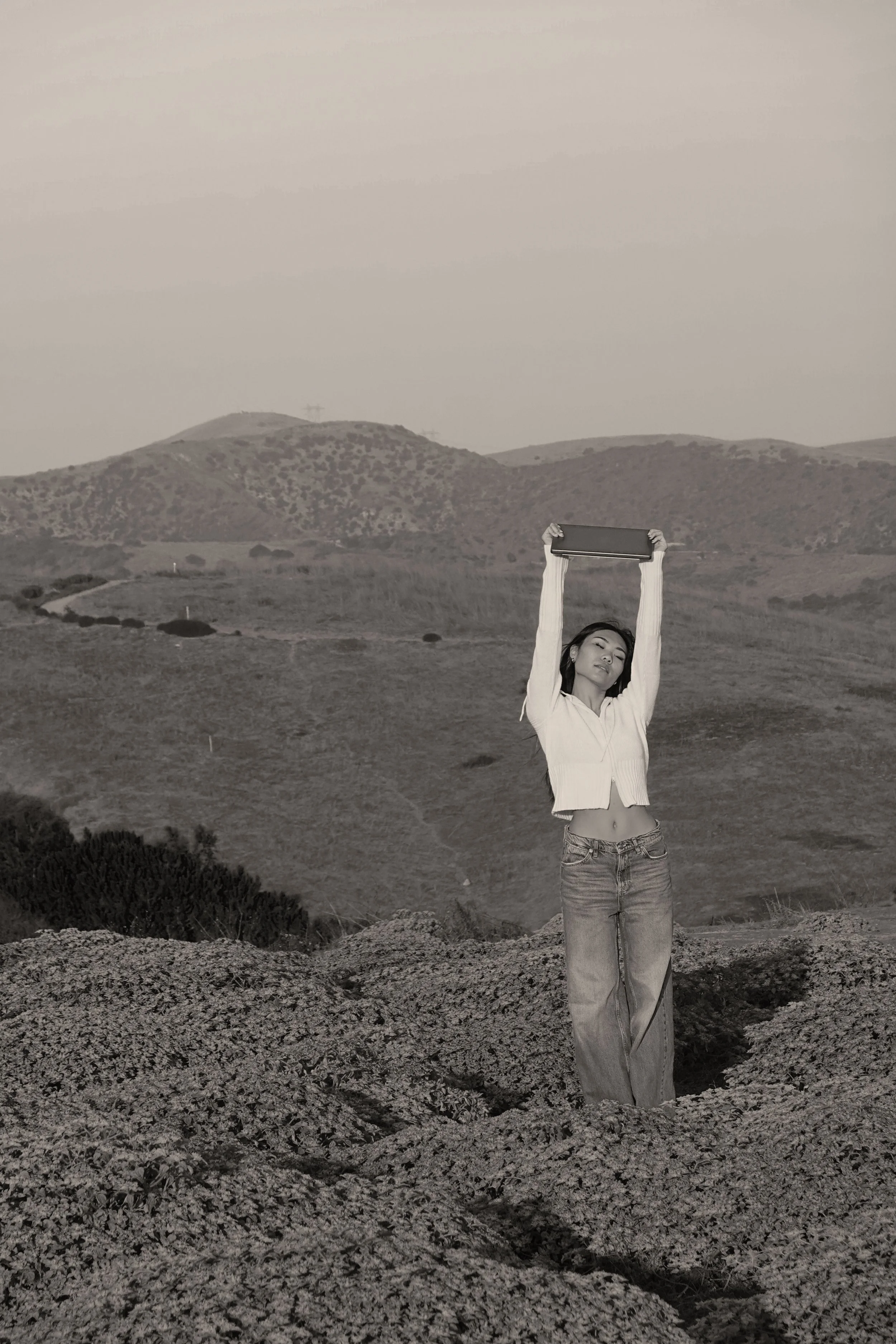 Templates — Create Mor