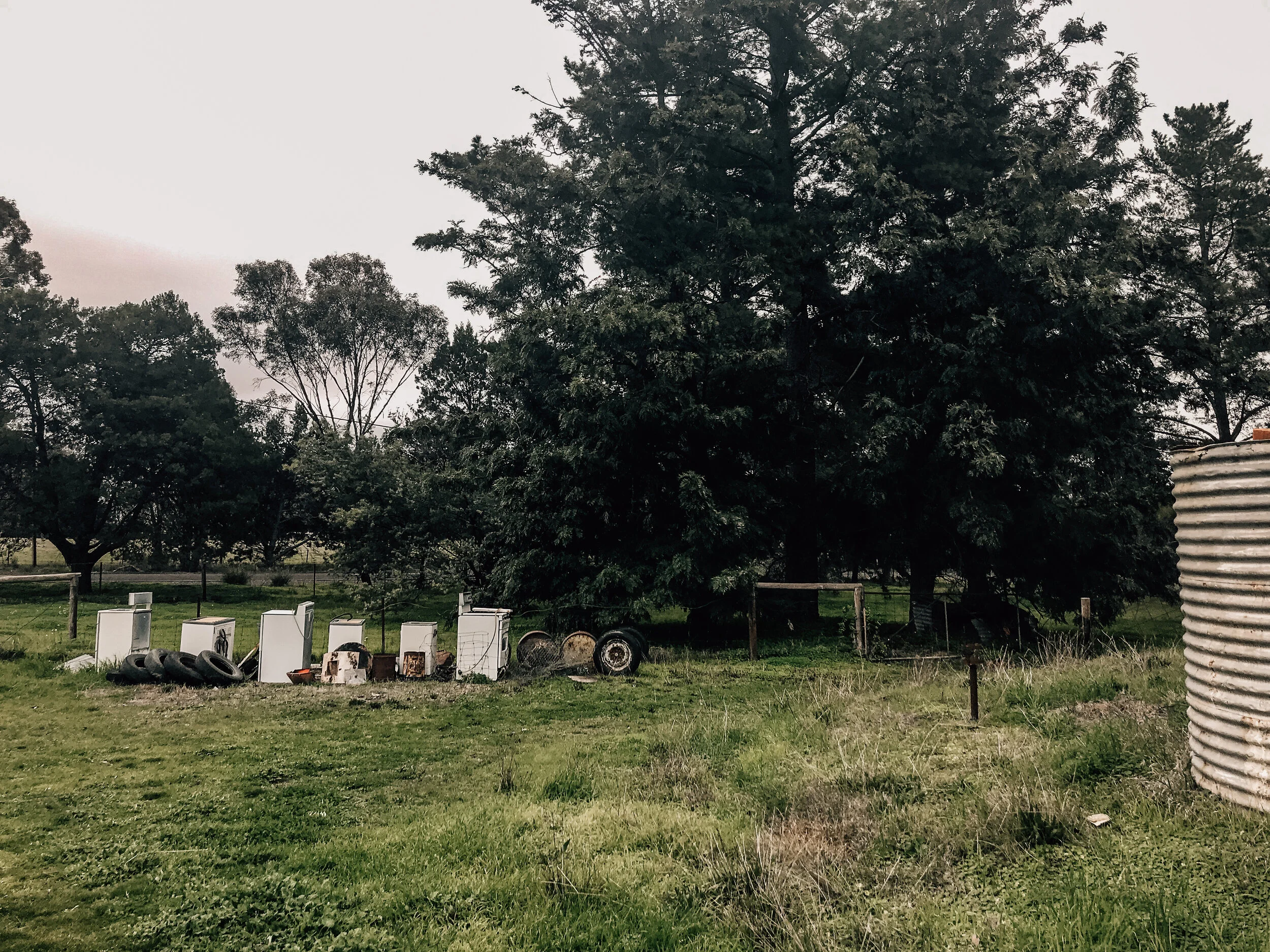OUR STORY — LITTLE LYNDOCH FLOWER FARM