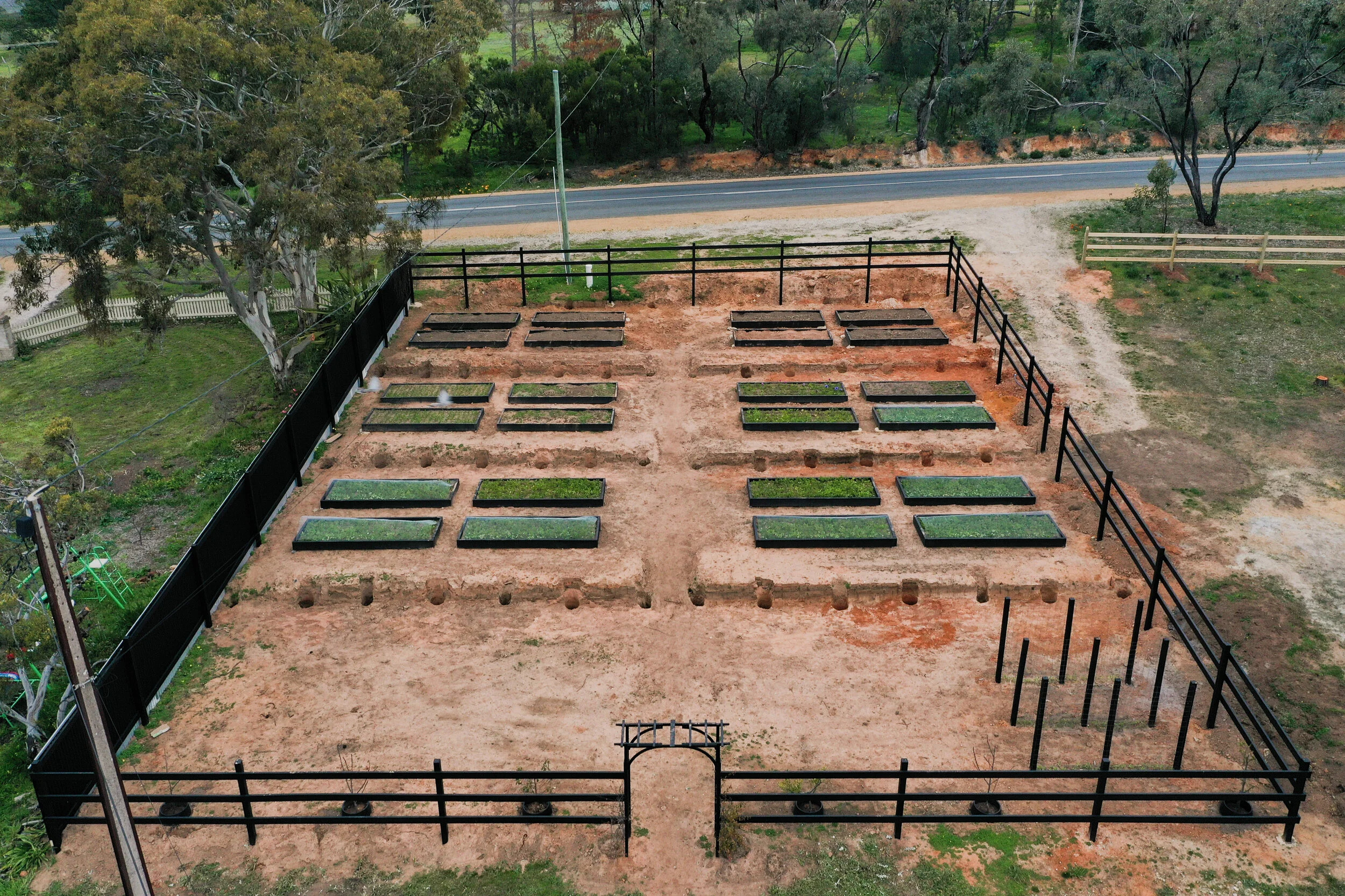 OUR STORY — LITTLE LYNDOCH FLOWER FARM