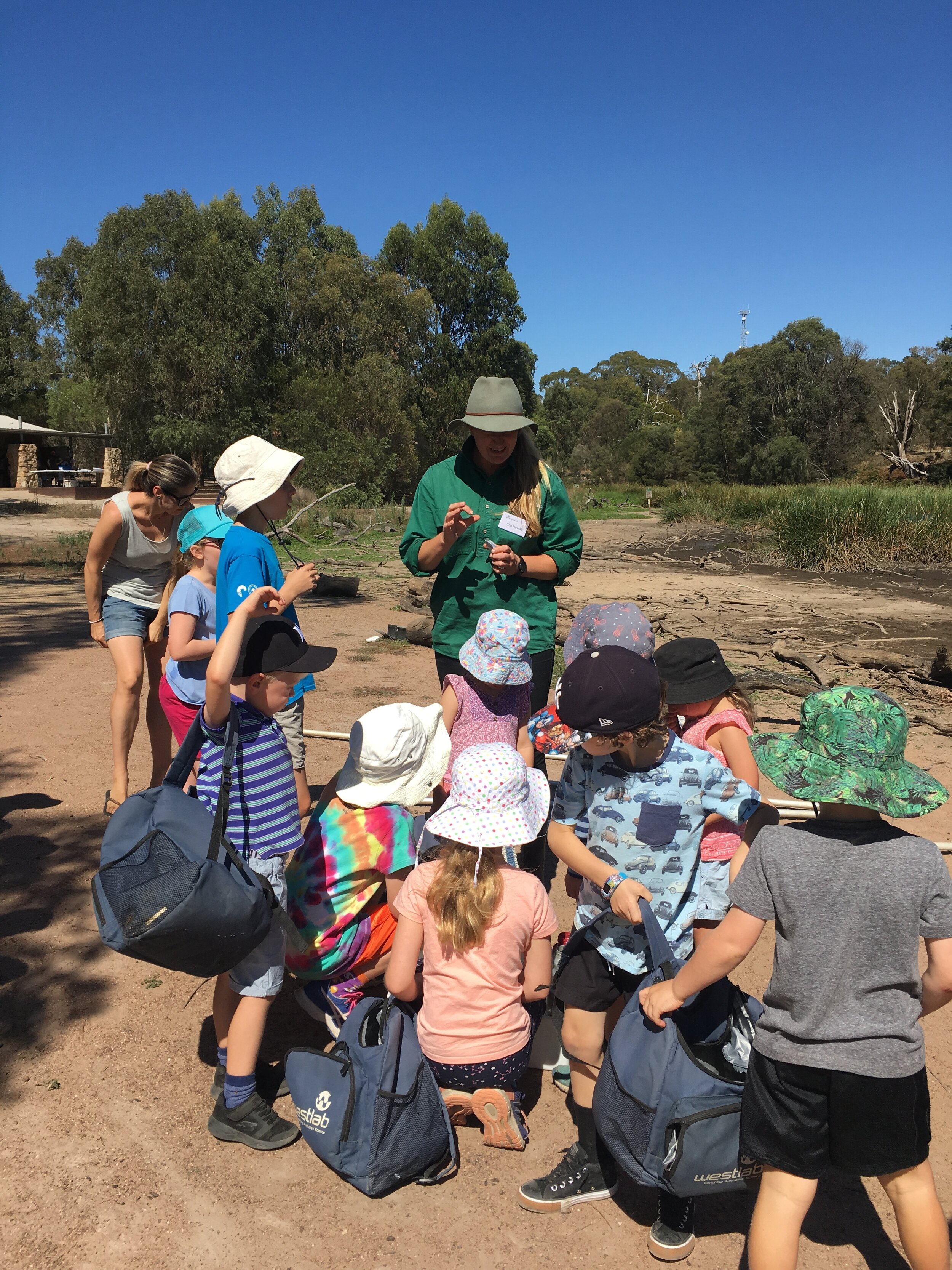 Bug Blitz — Projects — Latrobe Catchment Landcare Network