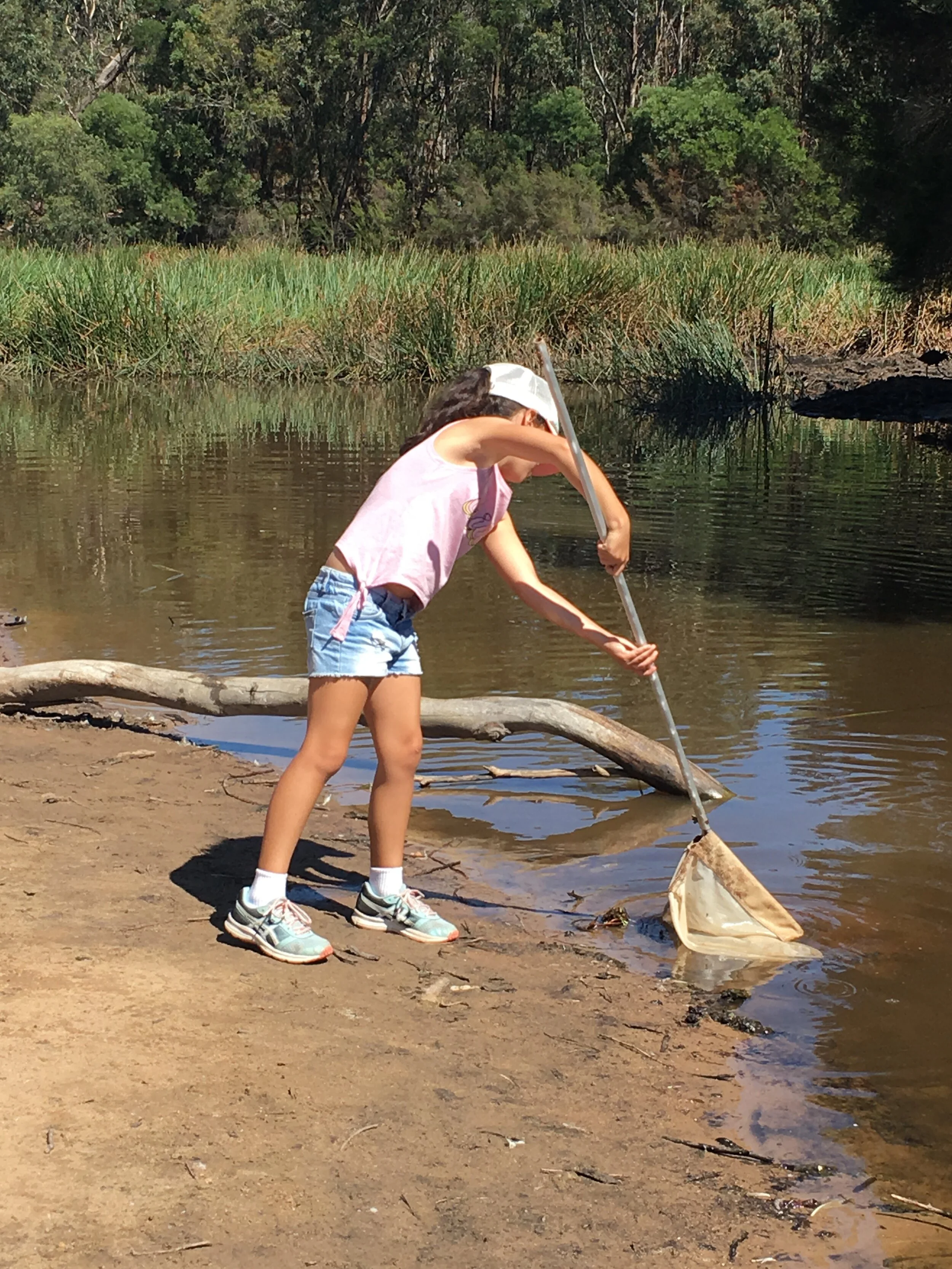 Bug Blitz — Projects — Latrobe Catchment Landcare Network