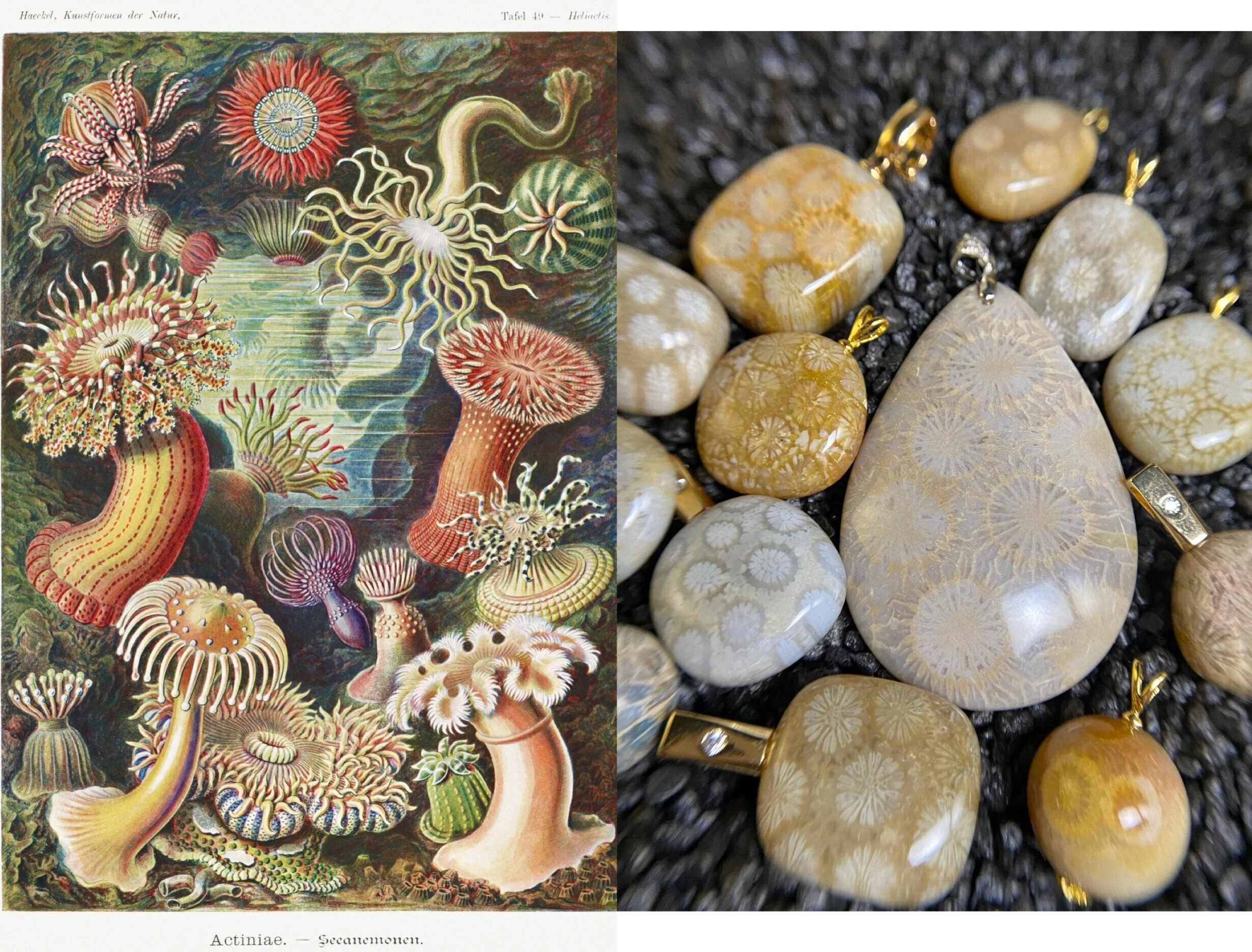 General 4 — Coral Jade Jewellery