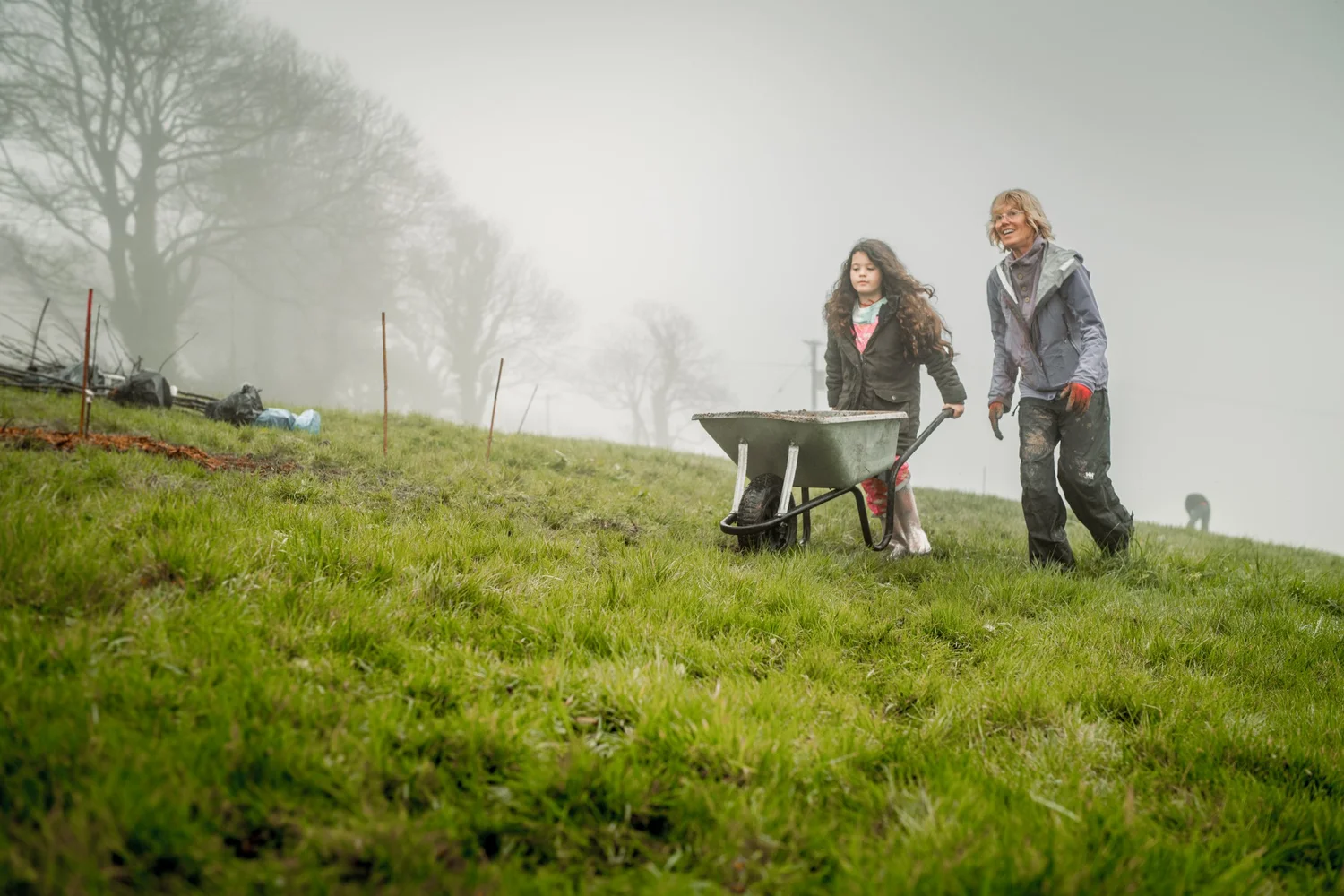 Why (and how) we’re planting trees on the farm - photo essay — Glasbren ...