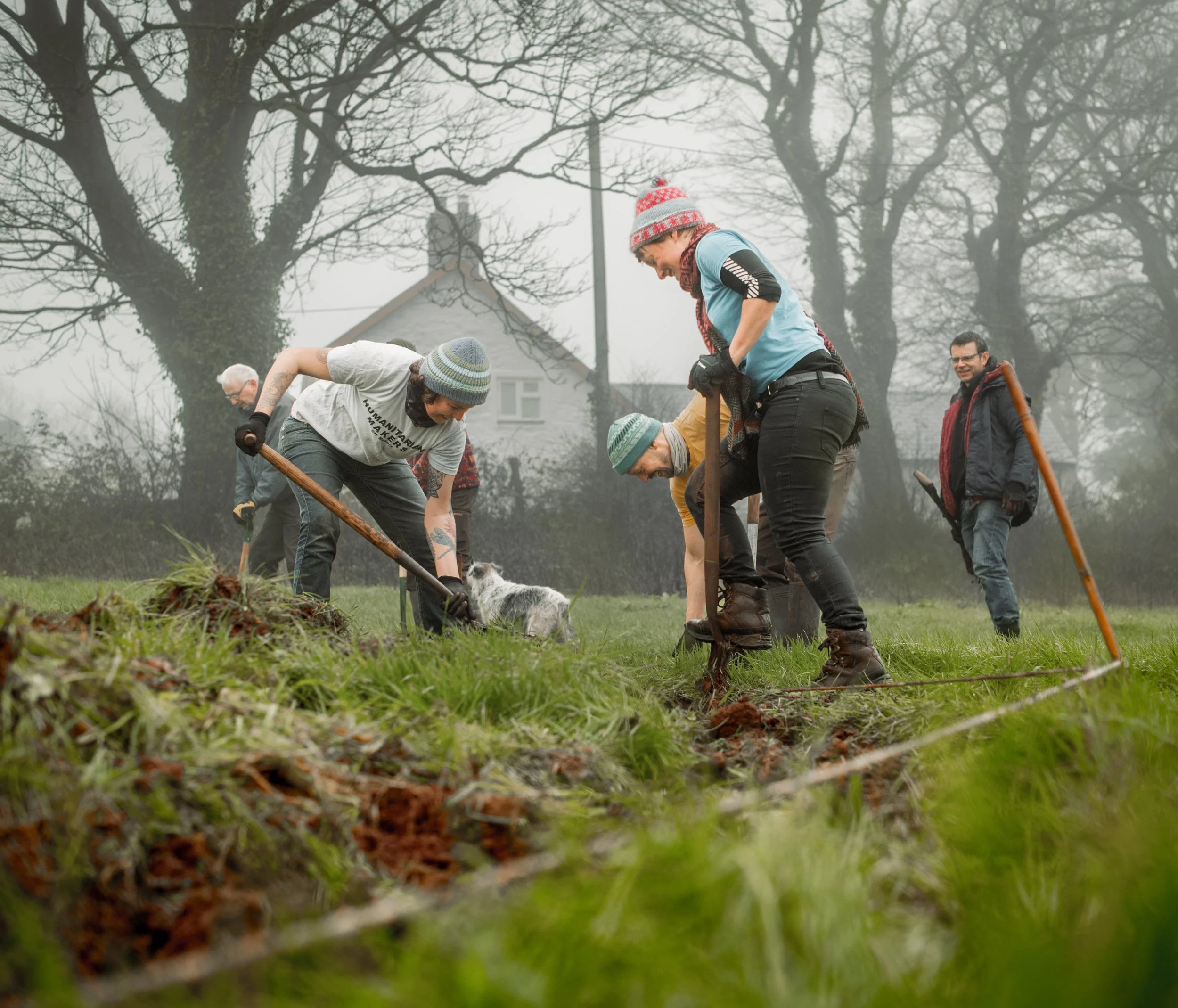 Why (and how) we’re planting trees on the farm - photo essay — Glasbren ...