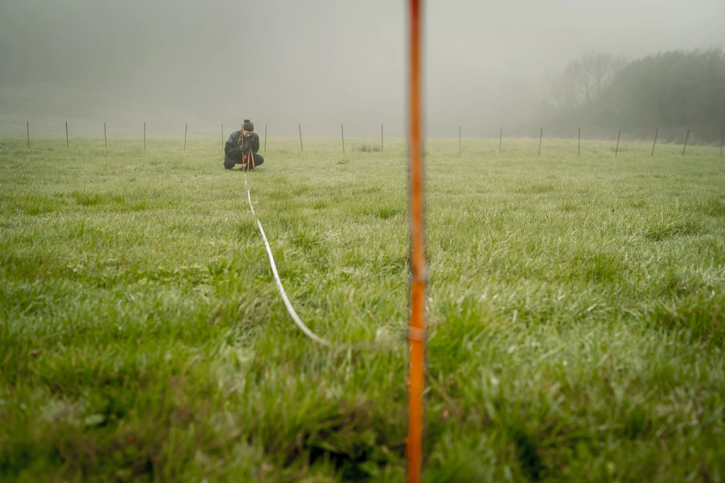 Why (and how) we’re planting trees on the farm - photo essay — Glasbren ...