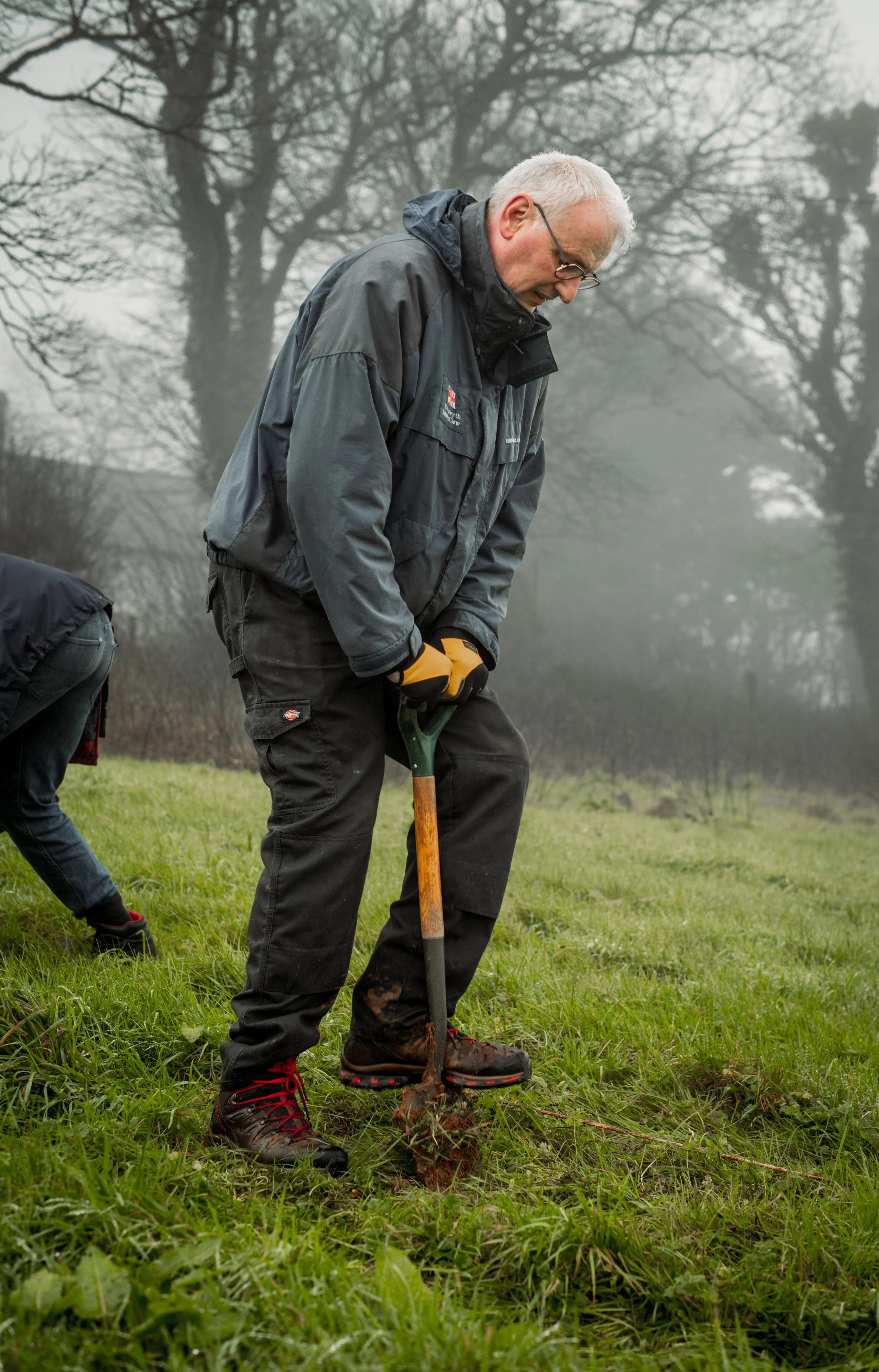 Why (and how) we’re planting trees on the farm - photo essay — Glasbren ...