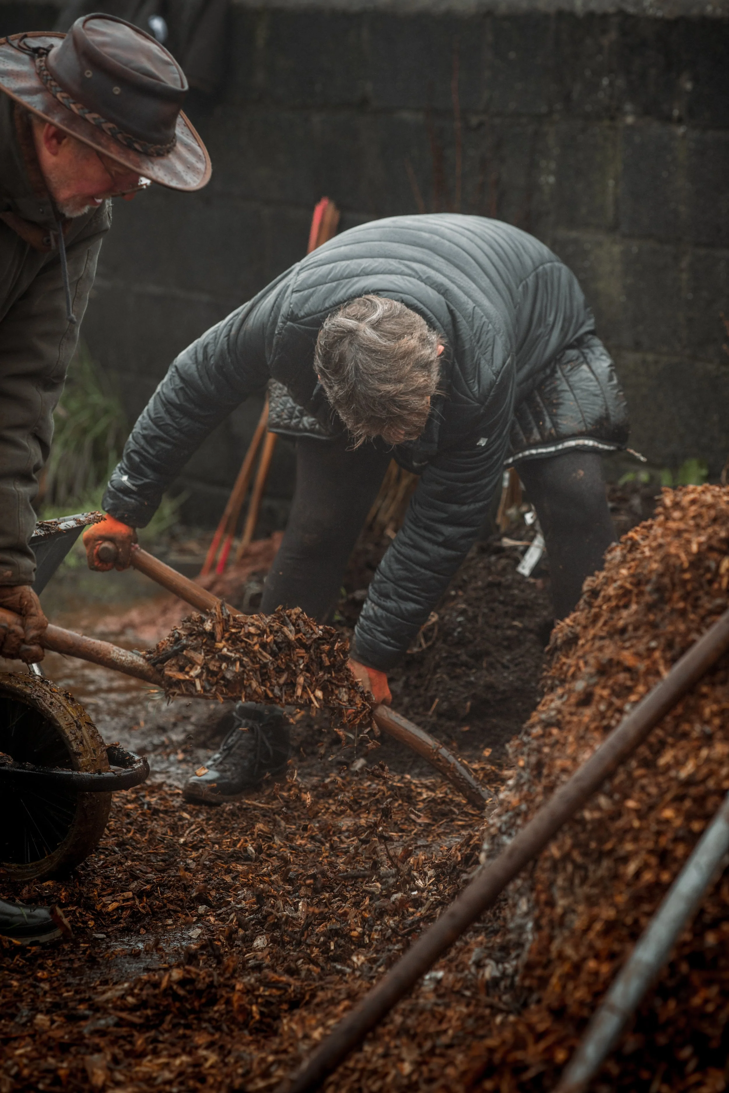 Why (and how) we’re planting trees on the farm - photo essay — Glasbren ...