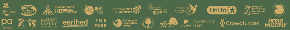 Calan Gaeaf Traditions in Wales | Join Our Calan Gaeaf Celebrations ...