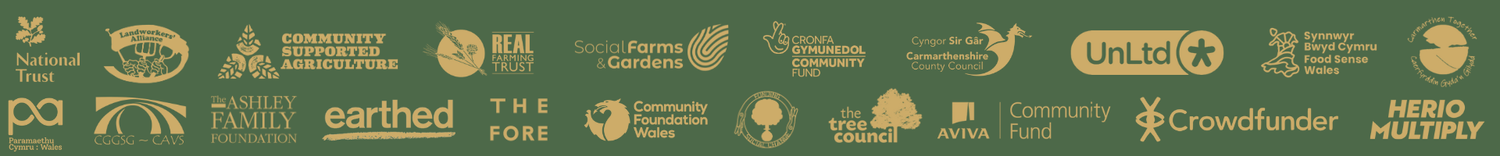 Calan Gaeaf Traditions in Wales | Join Our Calan Gaeaf Celebrations ...