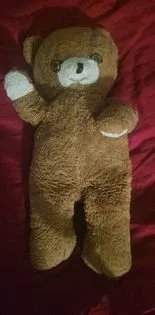 Timmy — TEDDY INITIATIVE