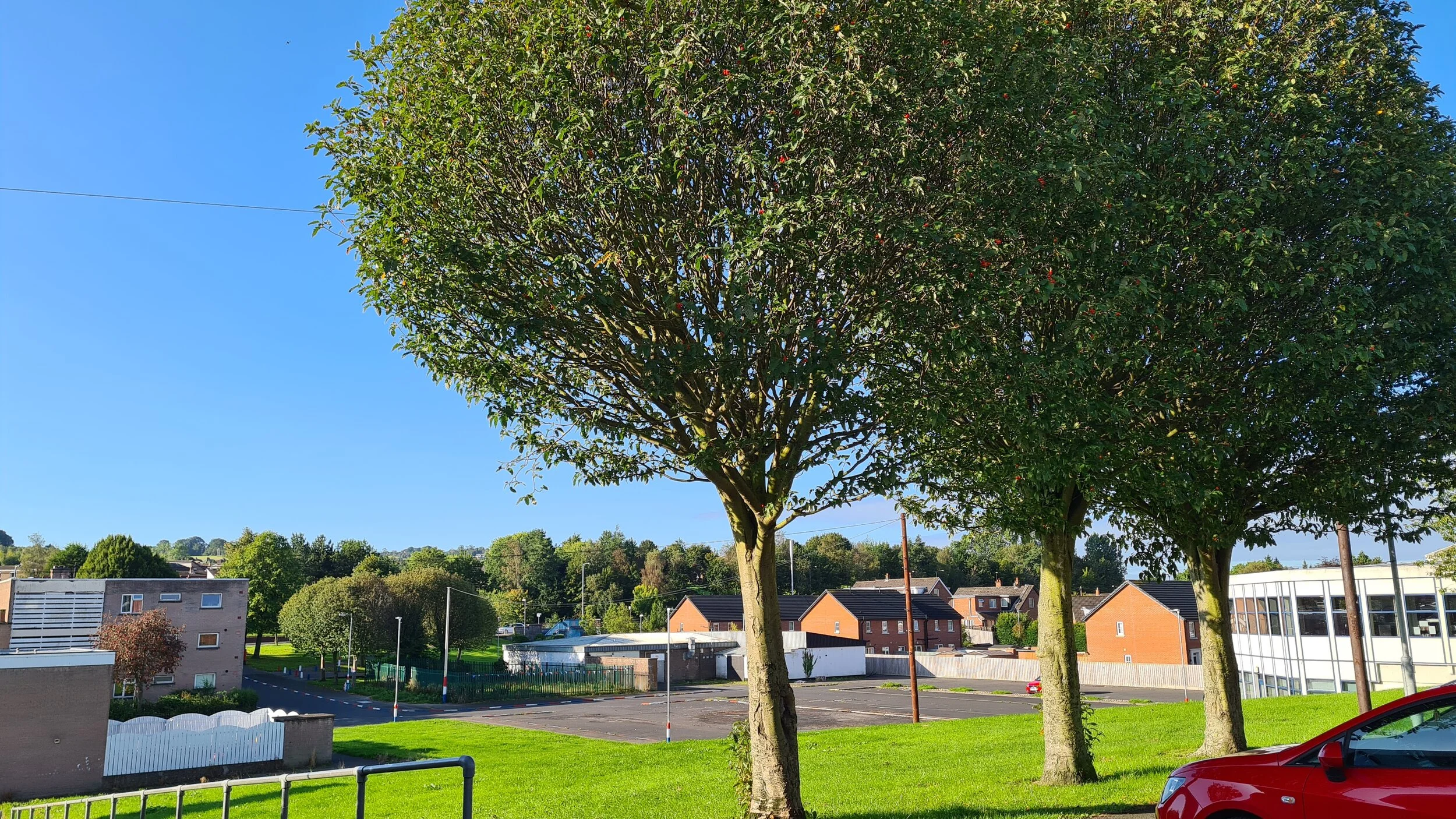 How Can I Connect? — Tullycarnet Church