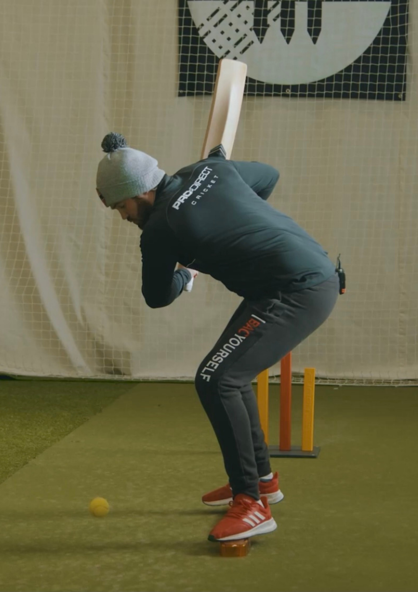 Buzz About Cricket